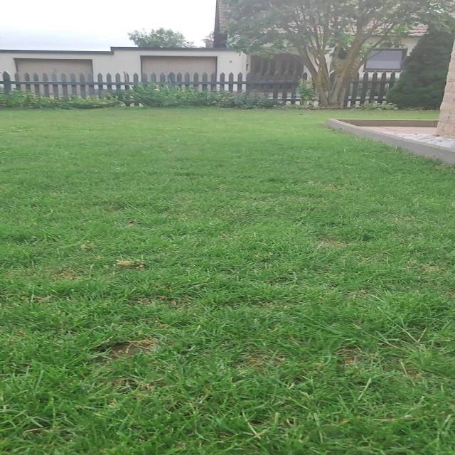 grass_seg_large Object Detection Dataset by grass