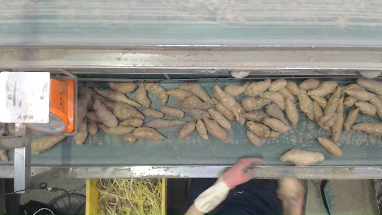 Potato in hand segmentation Instance Segmentation Dataset by Maru