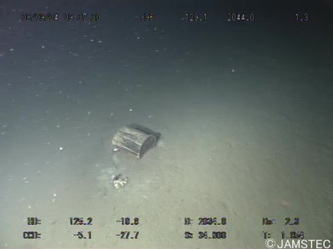 SRL - Roboflow Universe