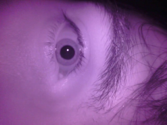 Pupil Detector Object Detection Dataset By Raul Workspace