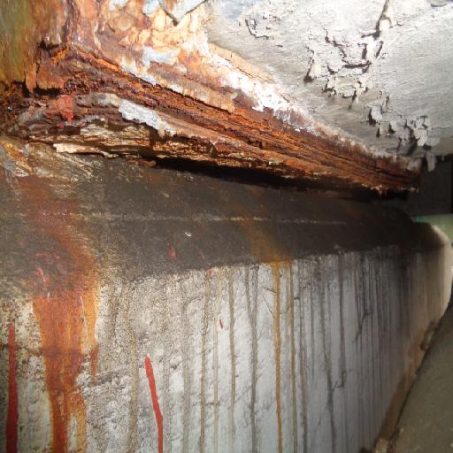 Efflorescence Instance Segmentation Model by Efflorescence