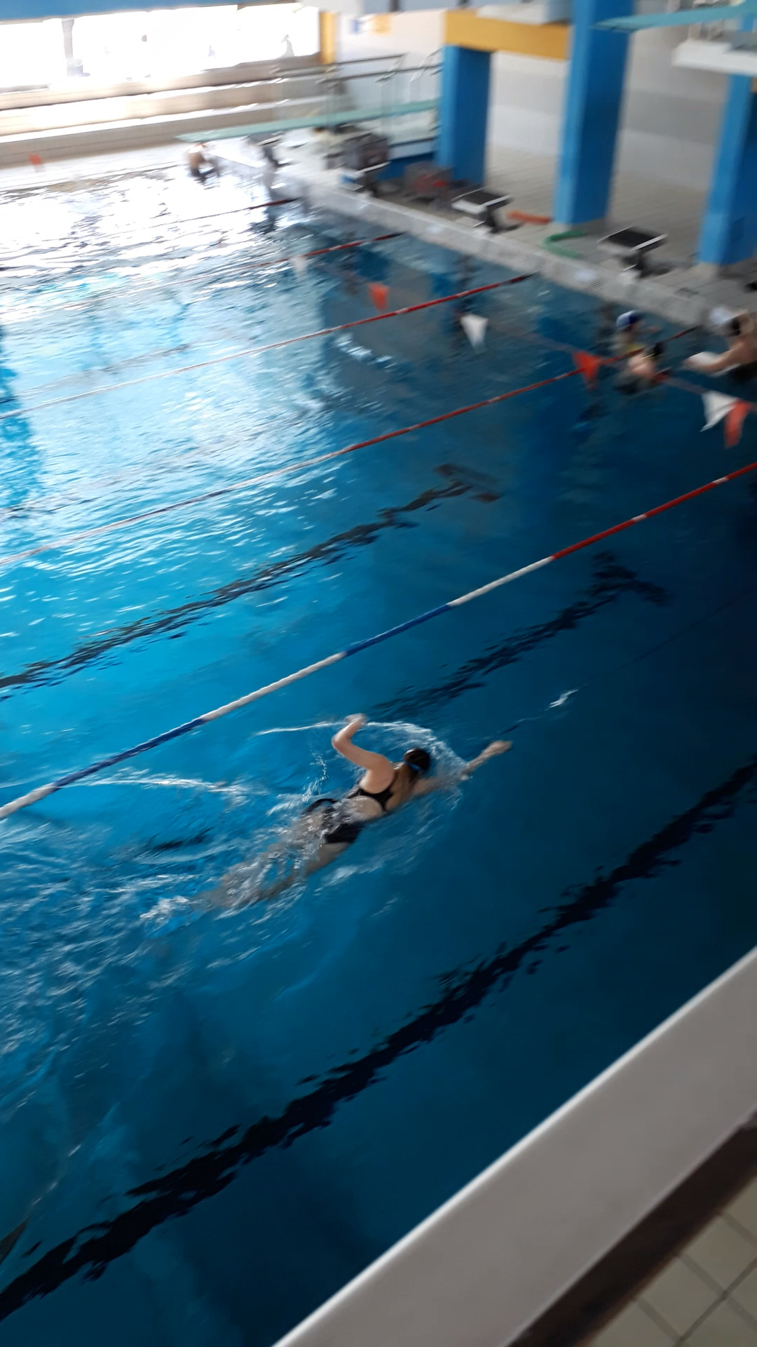 Like Smart Sport Assistance Schwimmen Neu Roboflow Universe Search