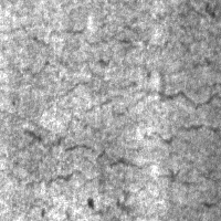 Steel Surface Defects Object Detection Dataset by my focus