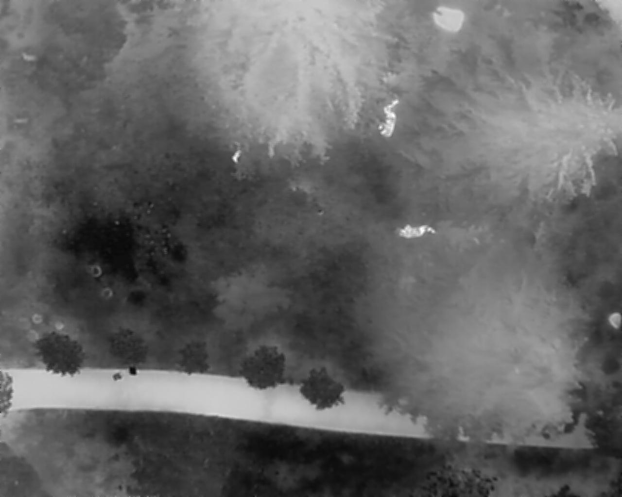 Object Detection (object-detection-uj3dz) - Roboflow Universe