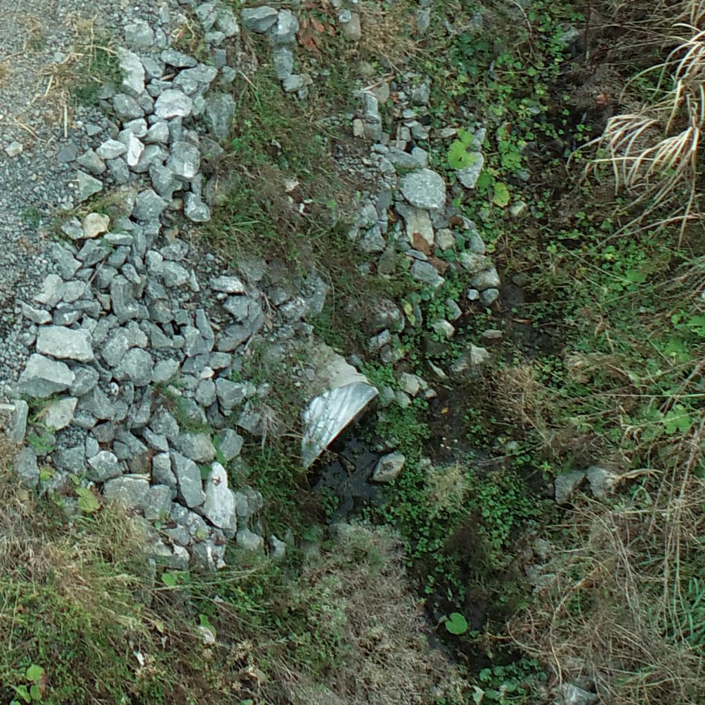 ponceaux Object Detection Dataset and Pre-Trained Model by dot2023V2