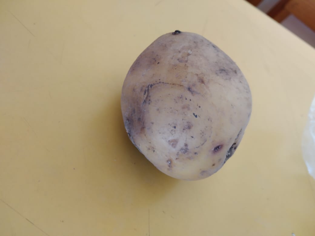 potato Object Detection Dataset by potato