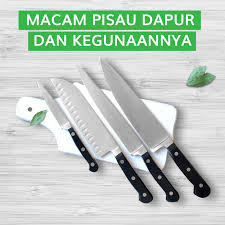 AUB Hackathon - Mark 1 Object Detection Dataset and Pre-Trained Model by project