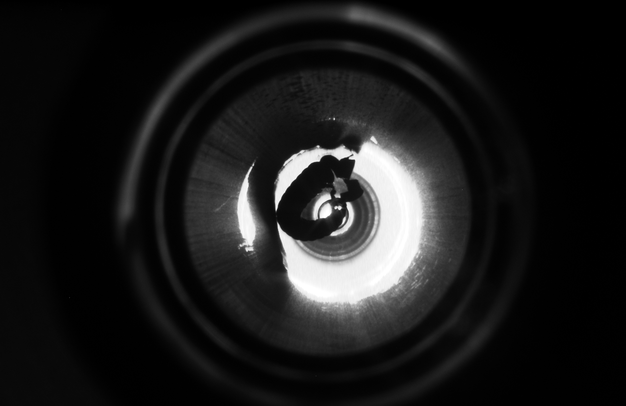 car-pipe Object Detection Dataset and Pre-Trained Model by tutor