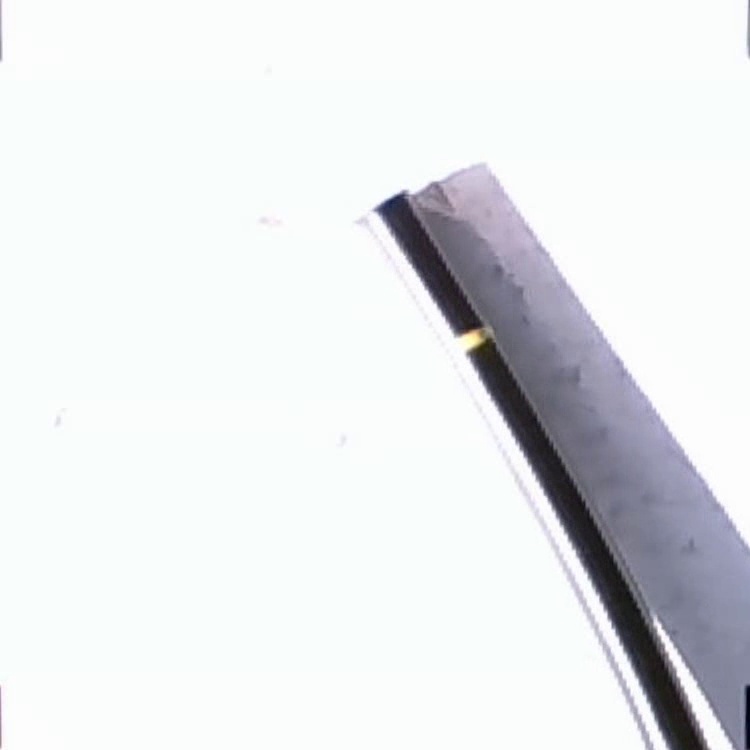 Boa Test - Roboflow Universe