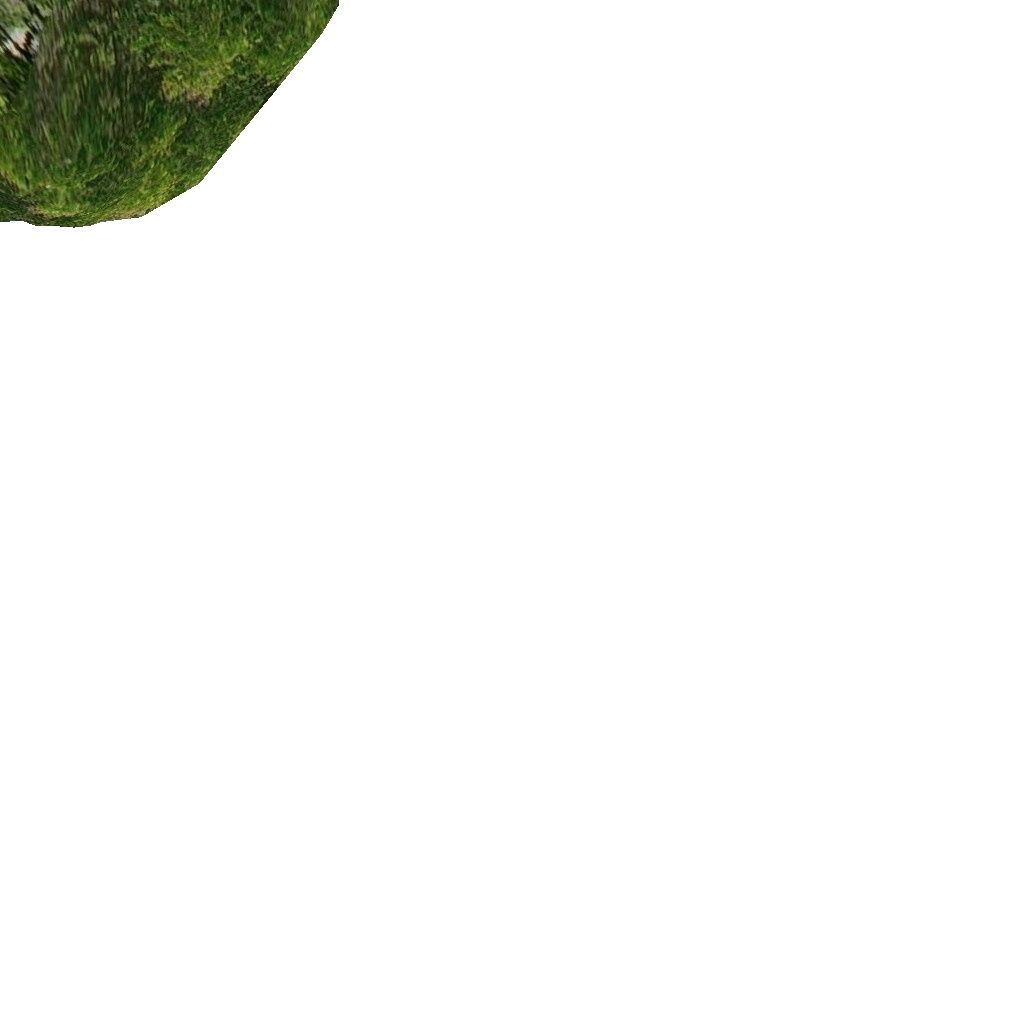 vivi_sb219b02 Instance Segmentation Dataset by tree