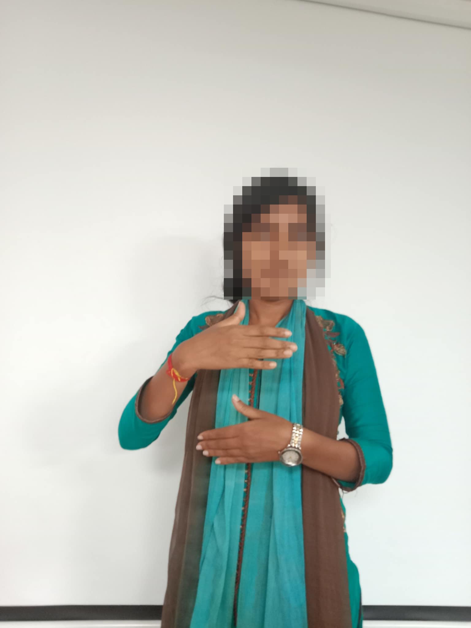 Blur Anoted Object Detection Dataset by ASM