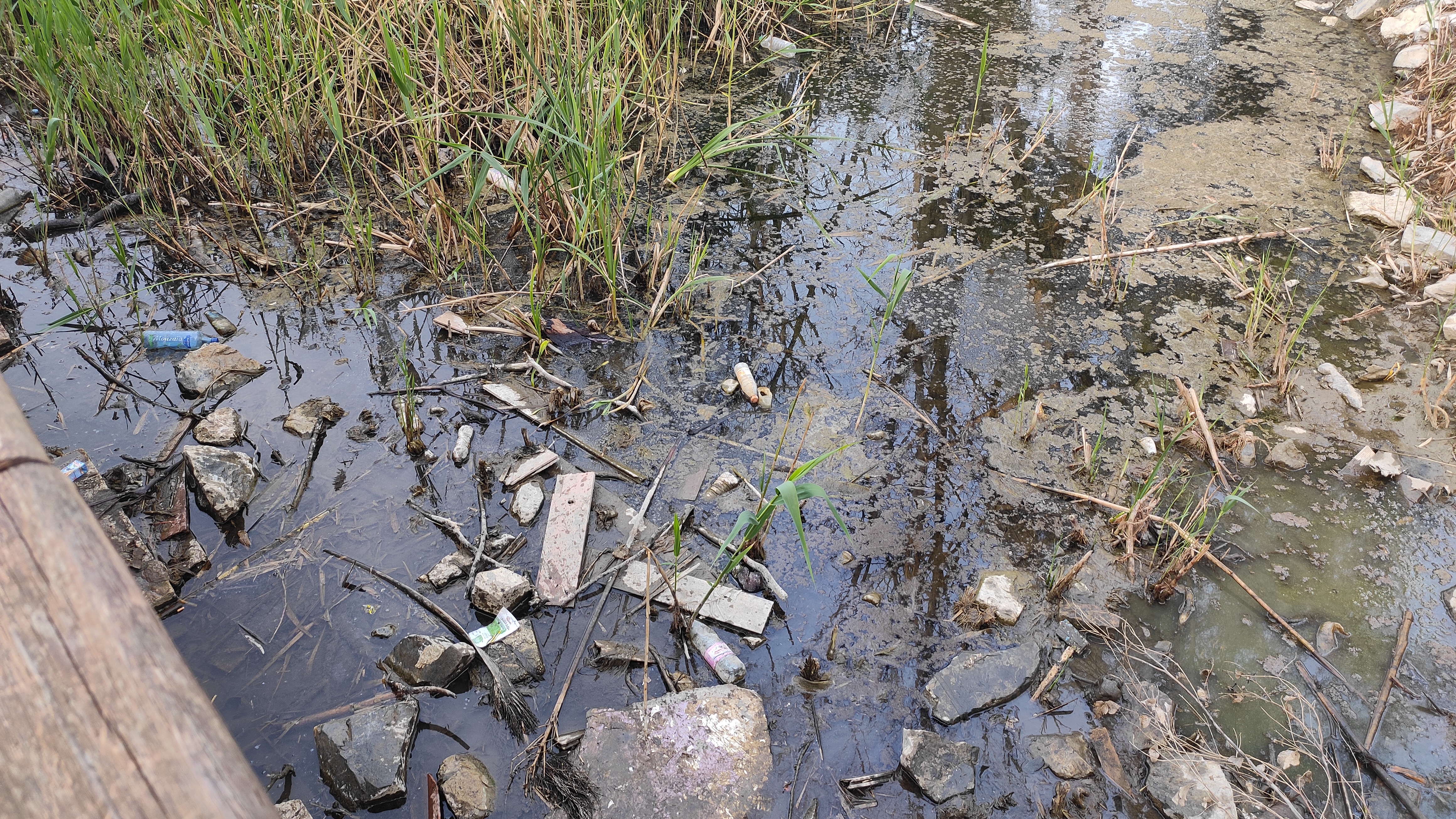 marine debris Object Detection Dataset by debris