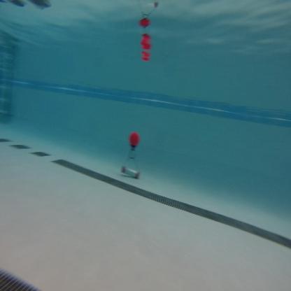 Underwater Object Detection Object Detection Dataset and Pre-Trained Model by RoboFlow