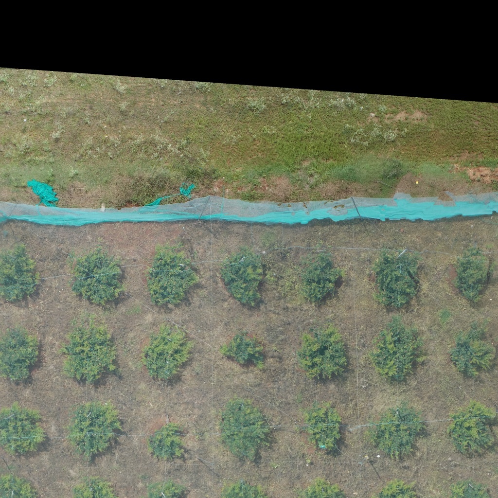 anno Object Detection Dataset and Pre-Trained Model by annotation