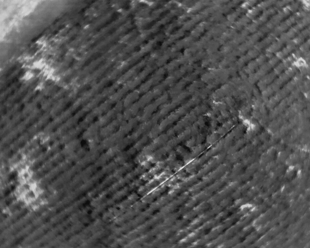 solar panel trs Object Detection Model by test