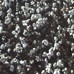 dailabel Instance Segmentation Dataset by cotton