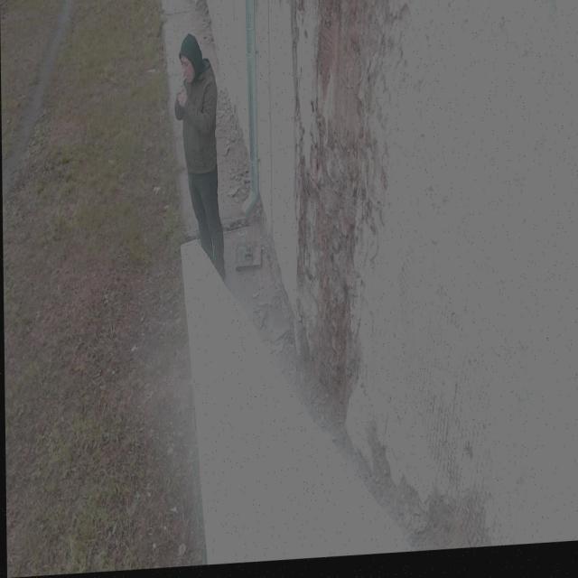 smokers_augment_to_merge Object Detection Dataset by smoking