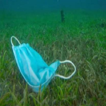 major Object Detection Dataset and Pre-Trained Model by project1