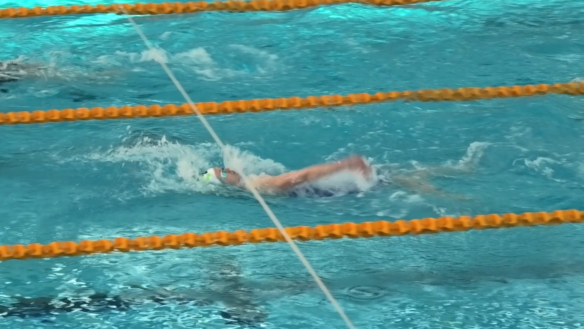 Swimmer Detection 2 Object Detection Dataset By Test