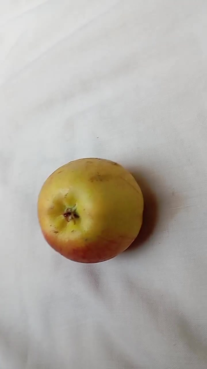 apple Object Detection Dataset by SK TECHNOLOHGIST