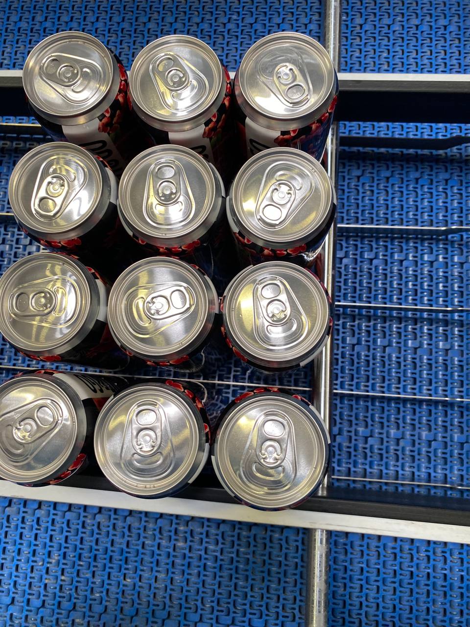 How to Use the Diplom Instance Segmentation API