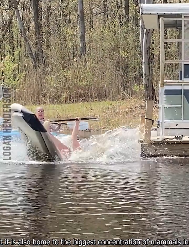 ikun (ikun-e3sgk) - Roboflow Universe