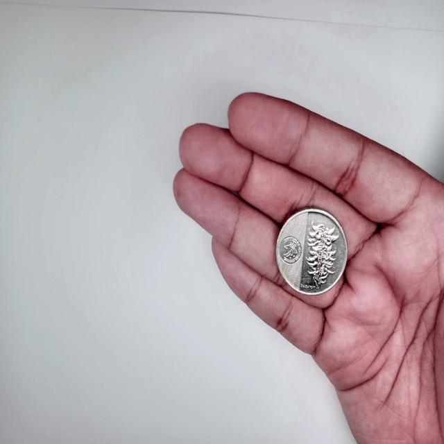 Coin Counting Object Detection Dataset And Pre Trained Model By Cmsc 1941