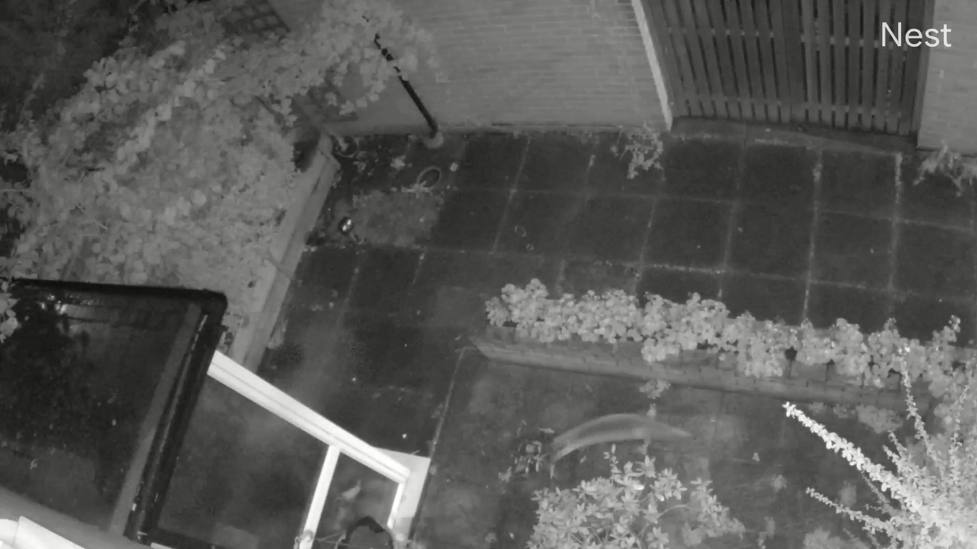 jtyr - Roboflow Universe