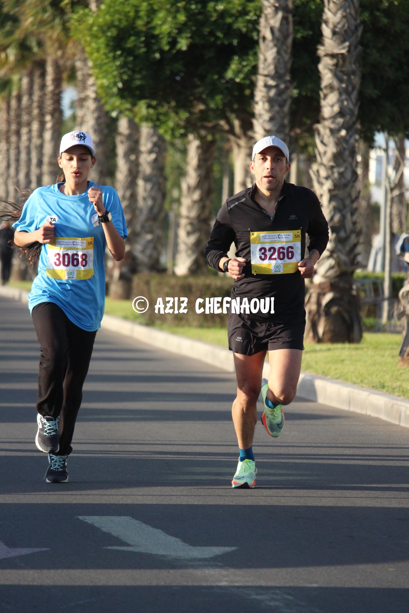 Bib Number Object Detection Model By Bibnumberdetection