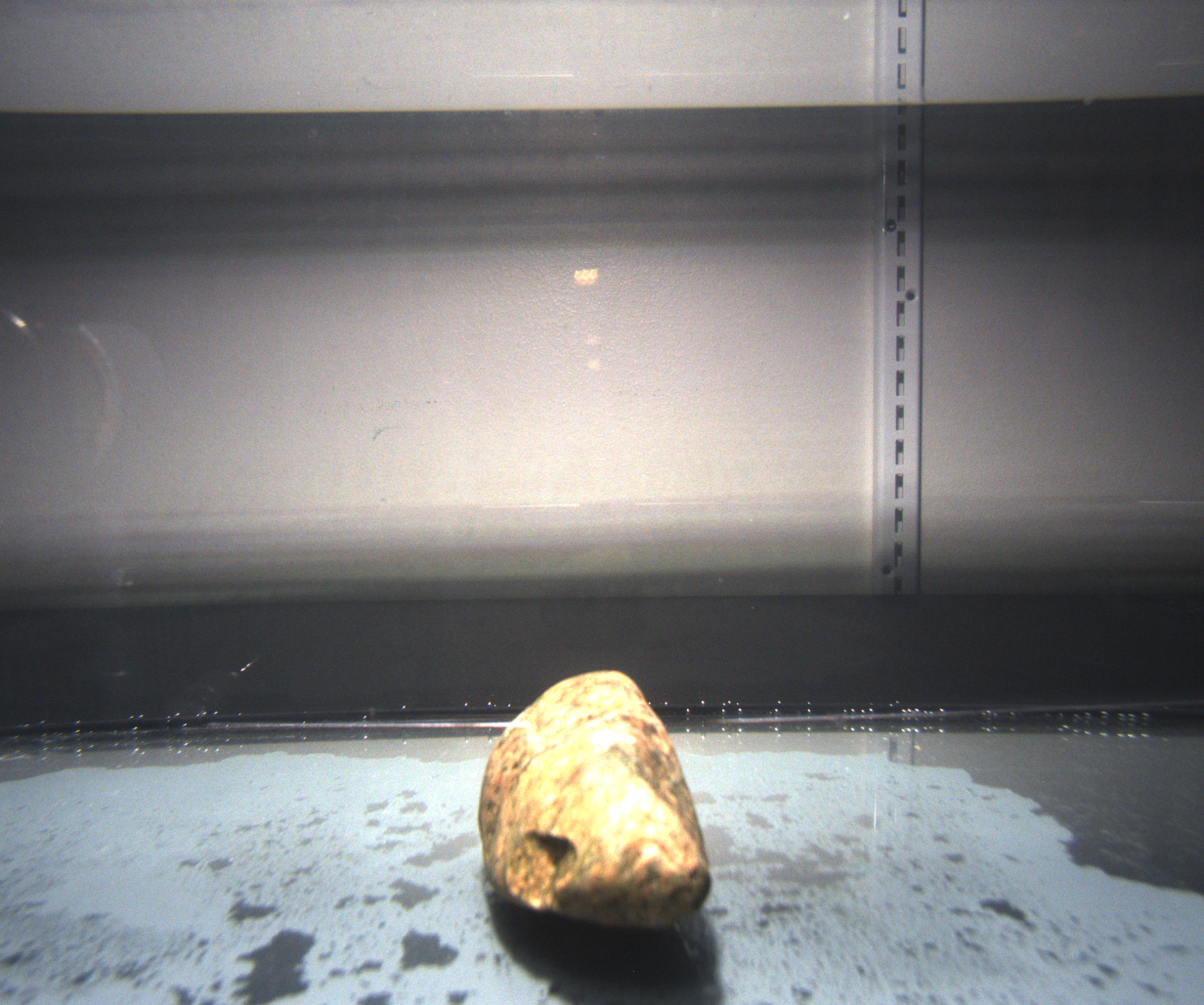 Rock Dataset2 Object Detection Dataset by rockdataset