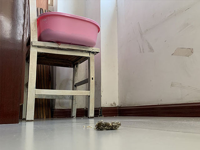 ODSR-IHS Object Detection Model by agv