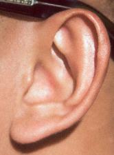 final ear Object Detection Dataset by Newspaper
