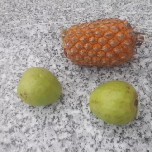 Fruits Object Detection Dataset By University Of Oklahoma