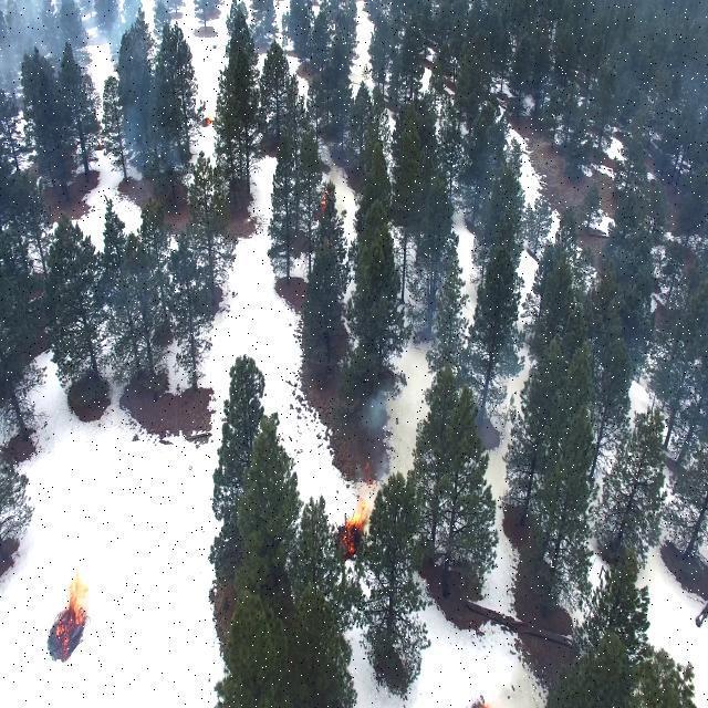 Flood, Fire and Smoke Object Detection Dataset by Fire