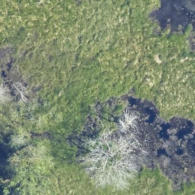 Plvgv4 Object Detection Dataset By Vegetation Detection For Power Lines