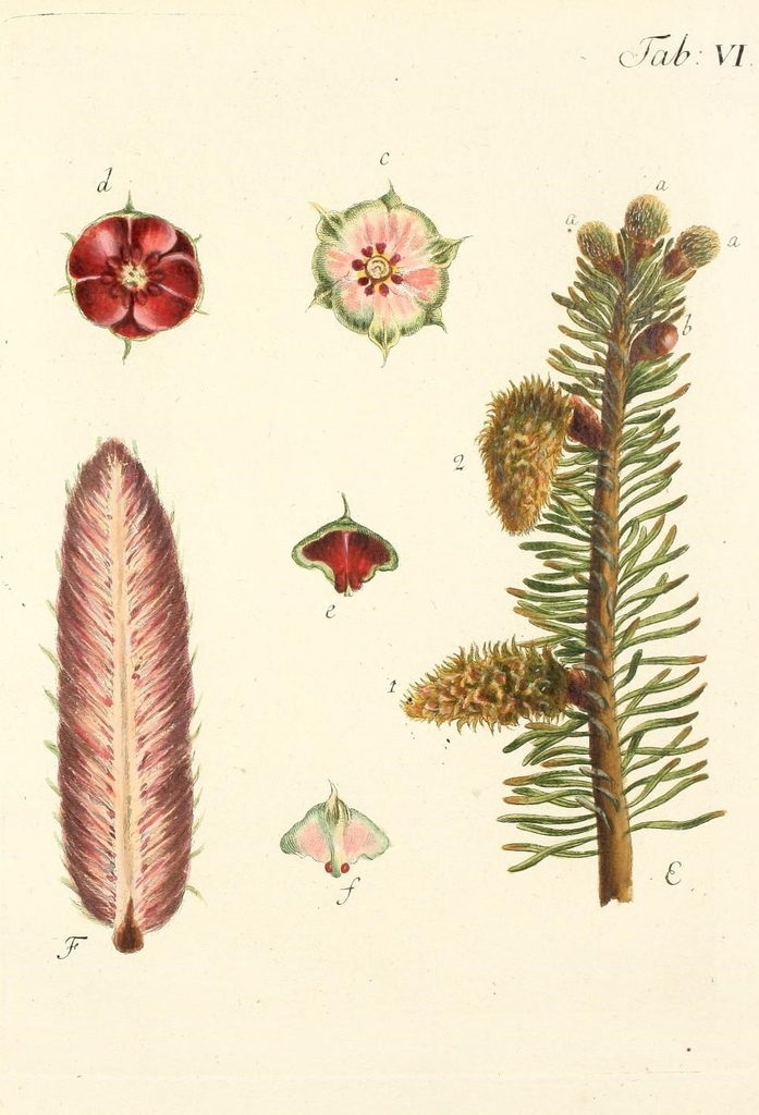 Plvgv5 Object Detection Dataset By Vegetation Detection For Power Lines