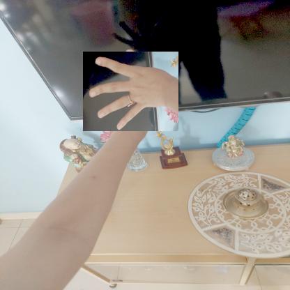 hand sign detection Object Detection Model by Herkenning