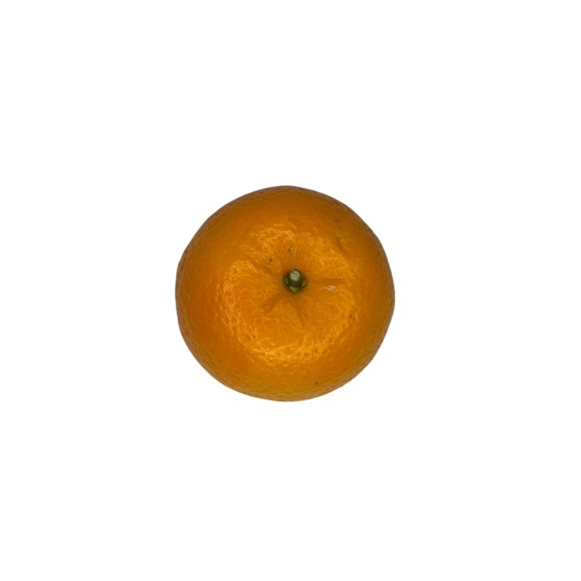 Orange Datasets Classification Model by Rifdah Workspace