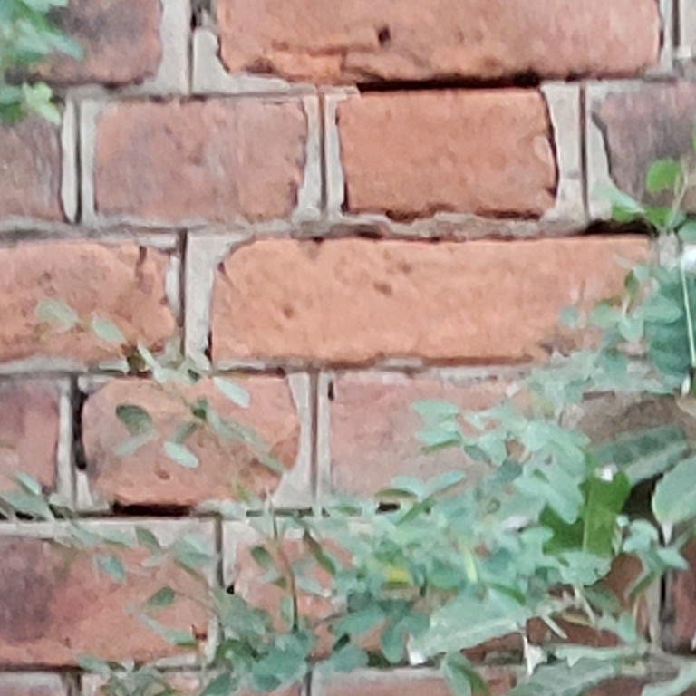 Vegetation Final Object Detection Dataset By Pradeep Kumar Kumawat