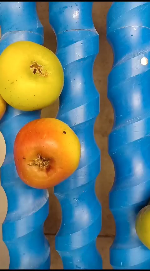 faults on produce Object Detection Model by Zack Davison