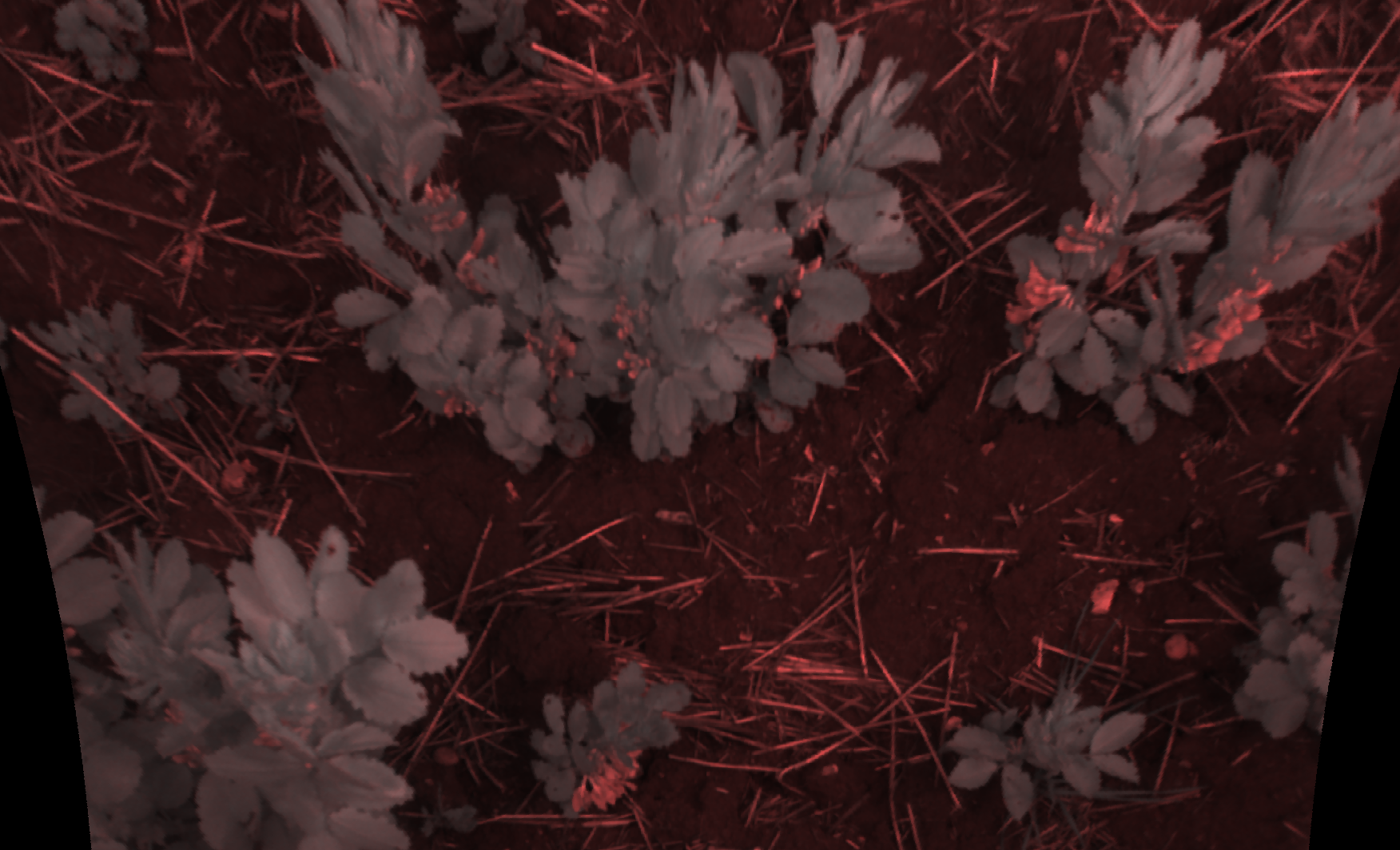 trial convert PascalVOC to YOLO - Roboflow Universe