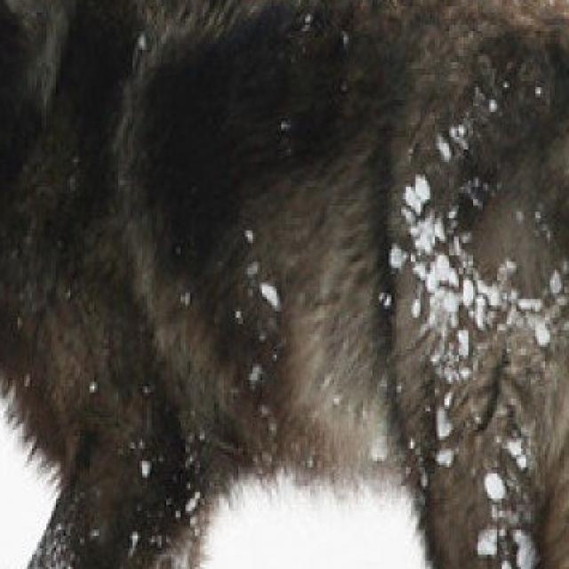 Inypay (inypay-hlabd) - Roboflow Universe