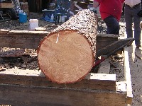 log dataset - Roboflow Universe