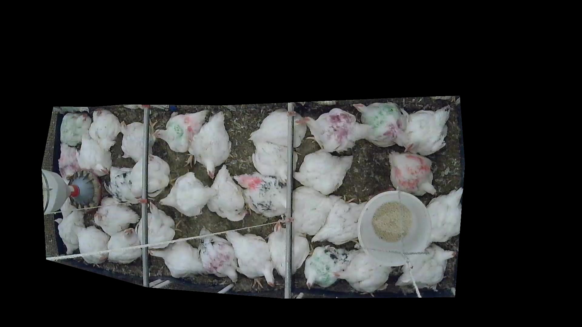 Cobb Auto dataset Object Detection Model by uga