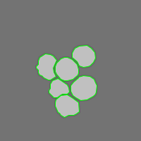 BlueBerries Instance Segmentation Dataset by efefefefef