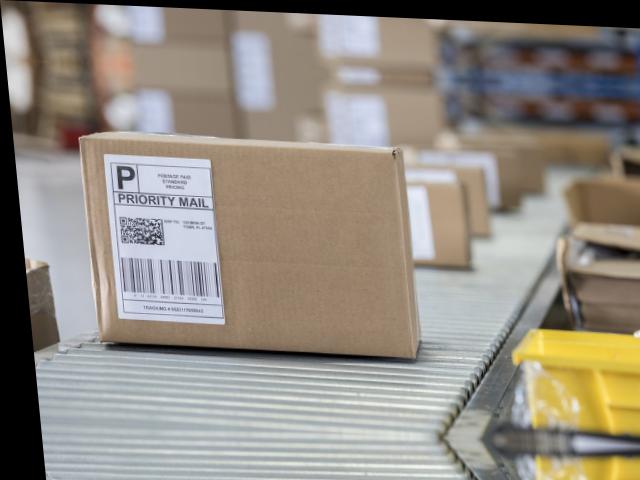 packages Object Detection Dataset by wichitaedu