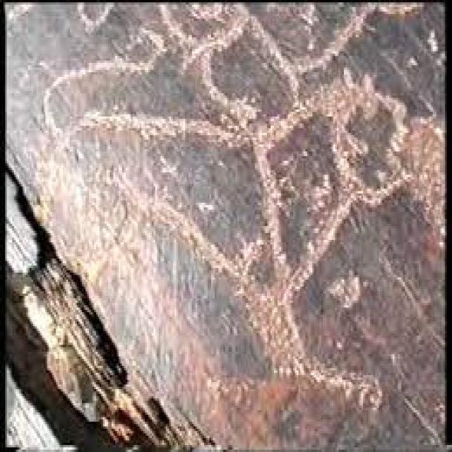 rock Instance Segmentation Model by Race