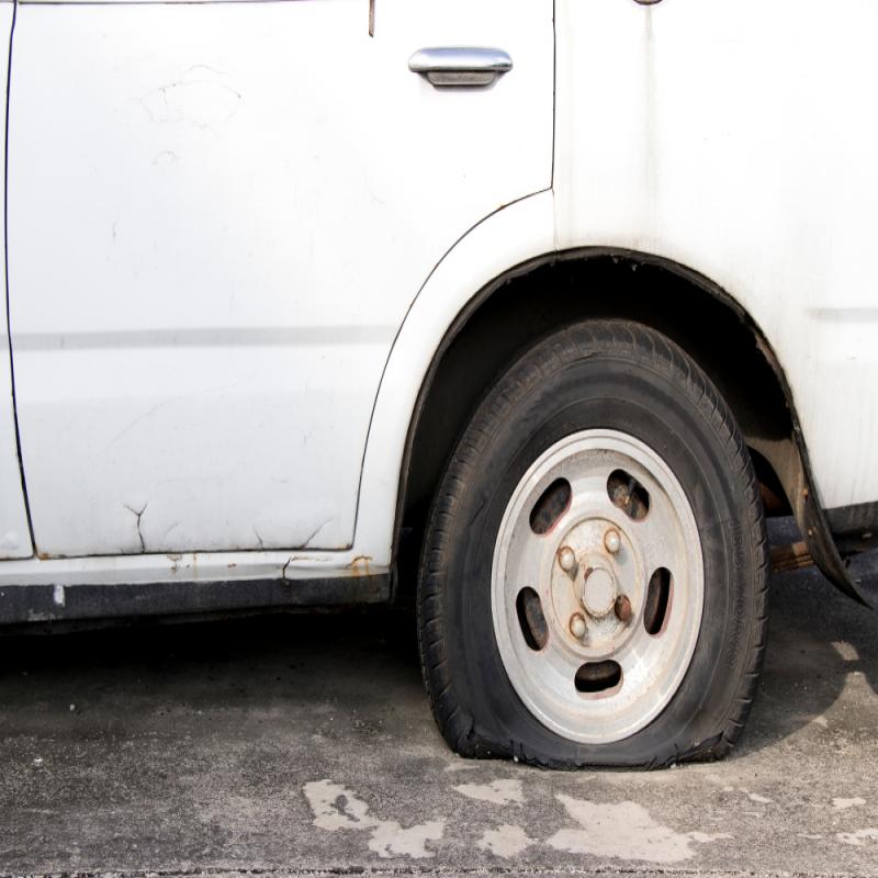 severity specific model Instance Segmentation Dataset by finalworkuniliver