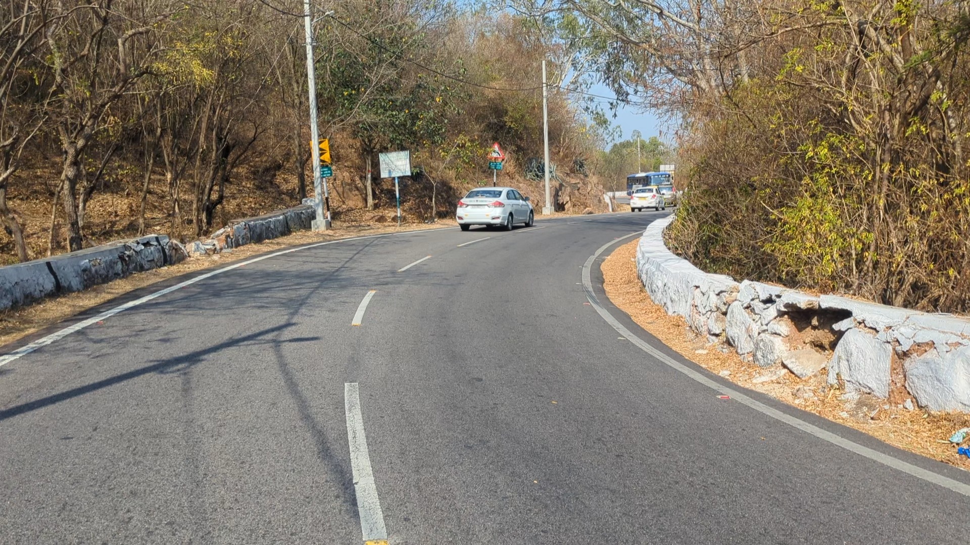 early morning Object Detection Model by final