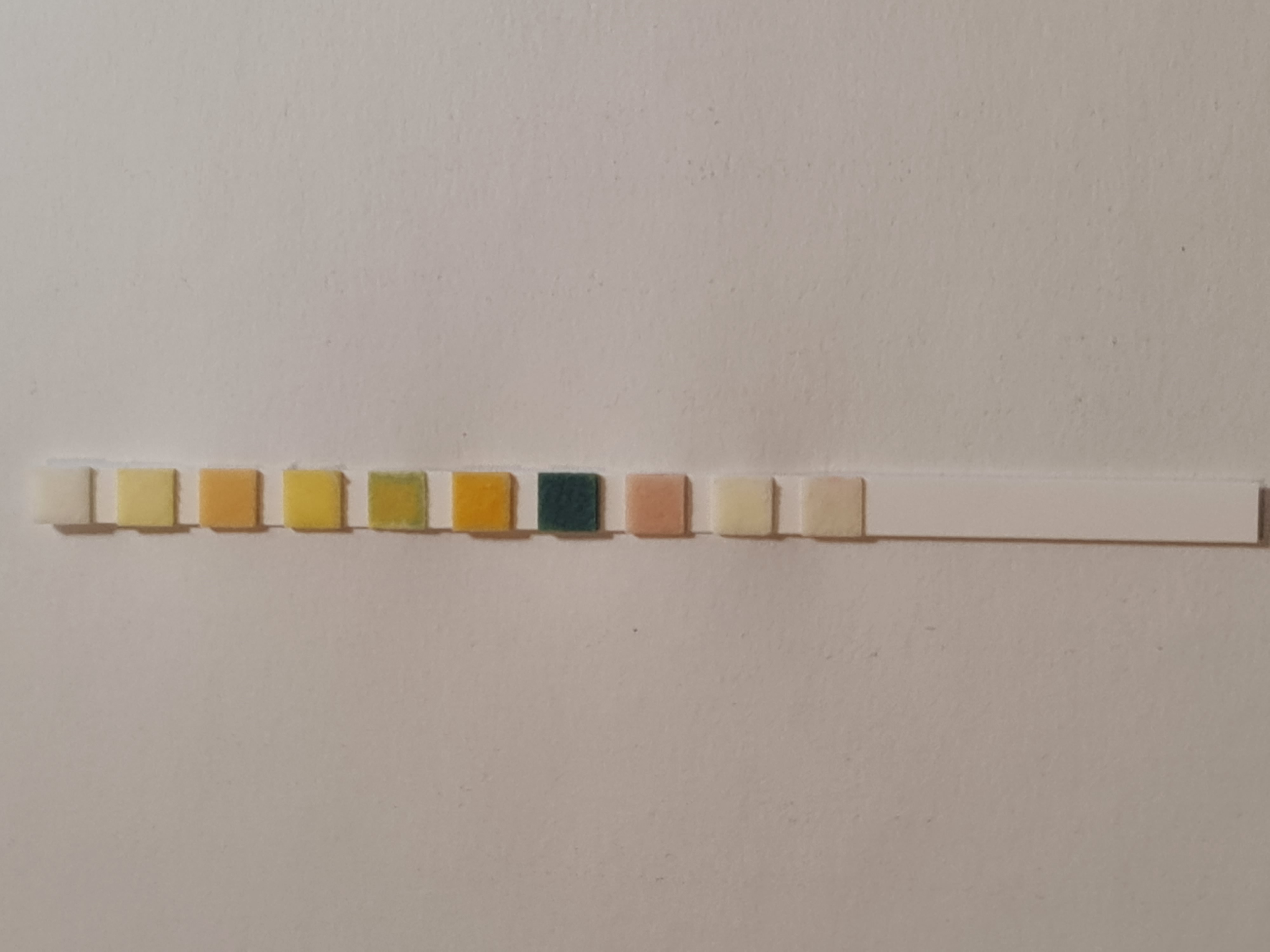 Urine-TestStrip-Pad-Detection Object Detection Model by Strip Sense